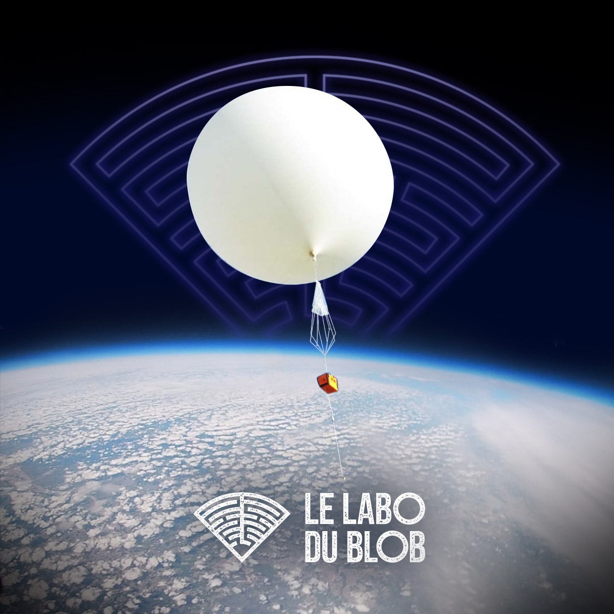 THE BLOB LAB - Discover and adopt the blob ! - The Blob Lab